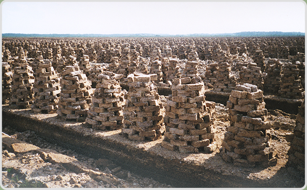 Peat Export